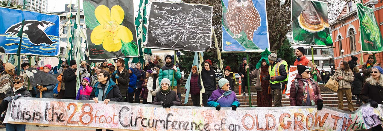 Stand.earth : CREDO Donations